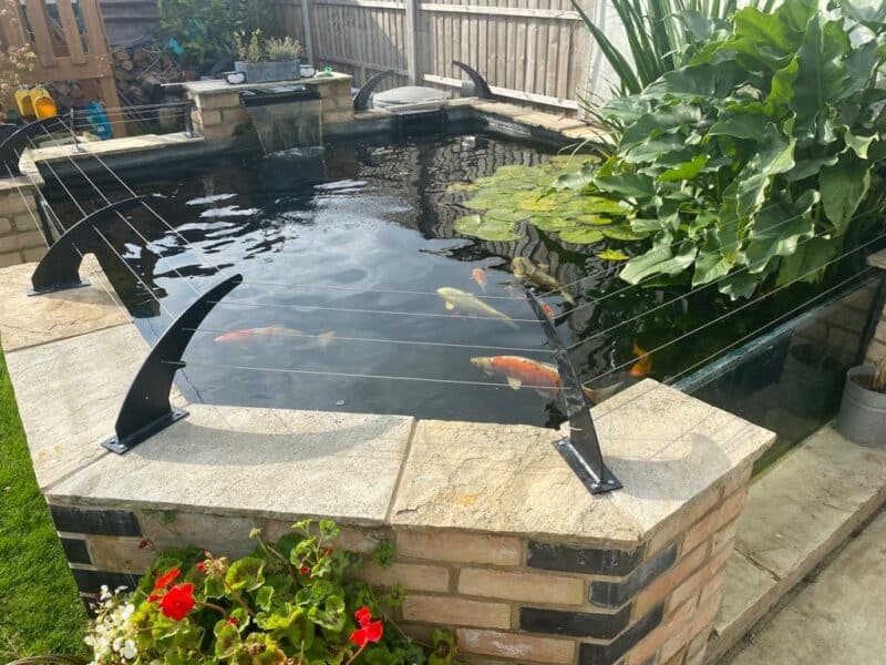 Pond Maintenance Guide | The Ultimate Guide to Keeping Your Pond Healthy