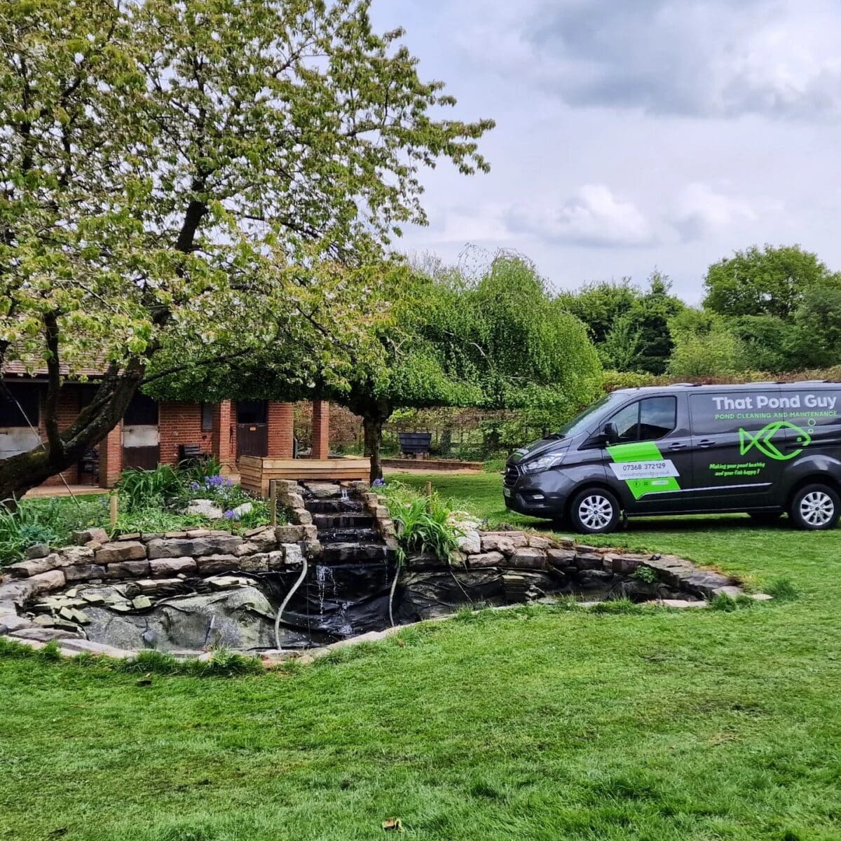 The Ultimate Guide to Pond Maintenance - That Pond Guy