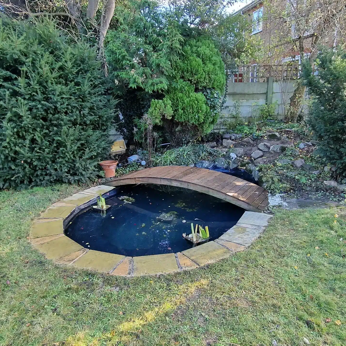 Pond Fibreglassing - Margate, Kent - That Pond Guy