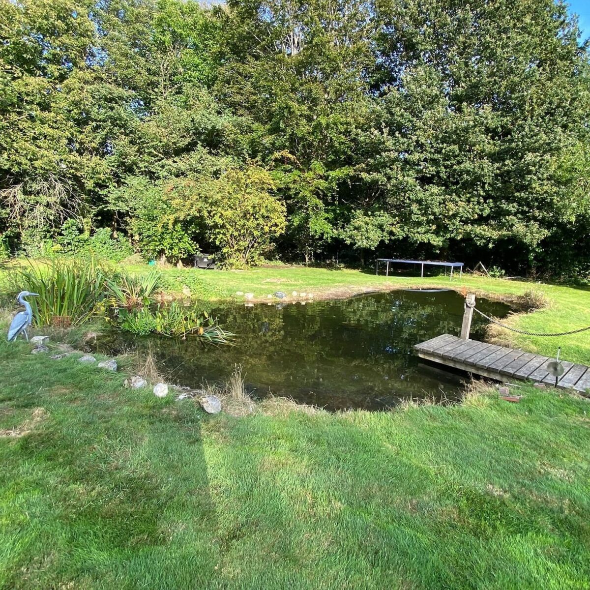 Pond Maintenance Guide | The Ultimate Guide to Keeping Your Pond Healthy