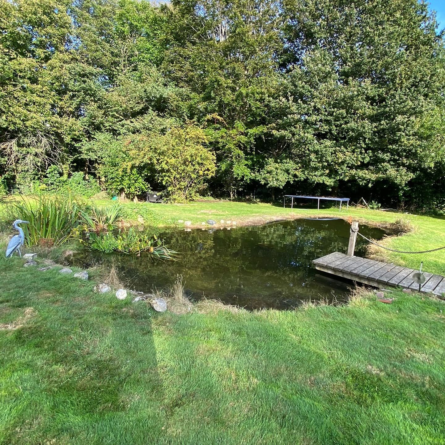 Pond Maintenance Guide | The Ultimate Guide to Keeping Your Pond Healthy