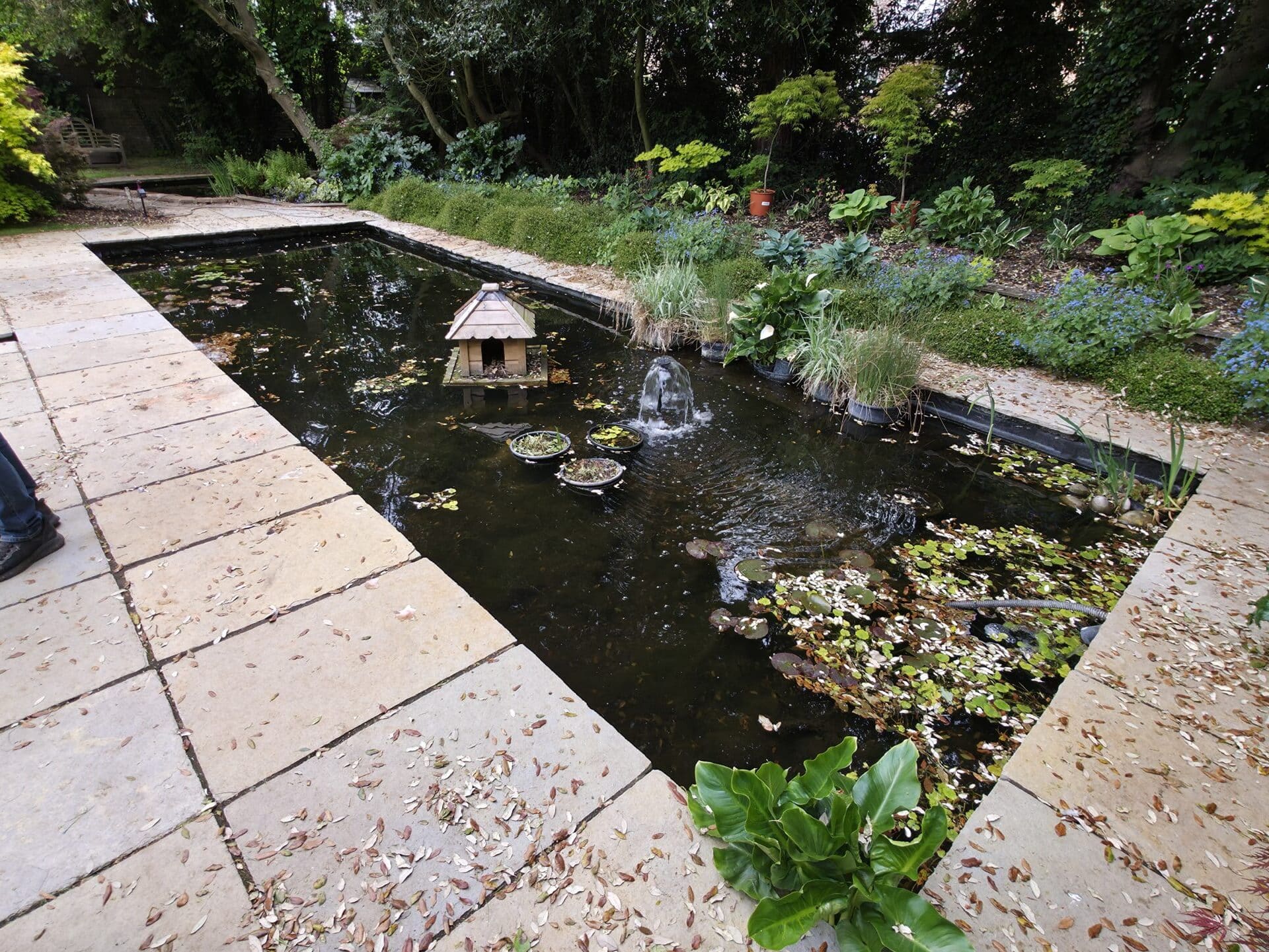 Pond Relining and Repairs | Professional Leaking Pond Solutions - That ...